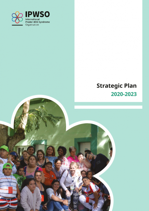 Our Vision and Strategy - IPWSO